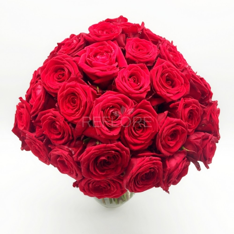 Mazzo di 50 rose rosse splendido e unico nel suo genere